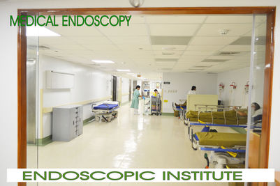 Endoscopic Institute (Medical Endoscopy) – Metropolitan Medical Center